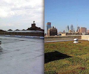 Envision a Green Roof Retrofit | Buildings