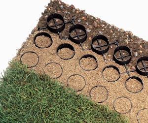 Grass Paving Saves Time, Money, and Helps the Environment | Buildings