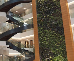 Largest Biowall in U.S. Comes to Life | Buildings