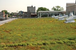 The Mechanics of a Vegetated Roof | Buildings