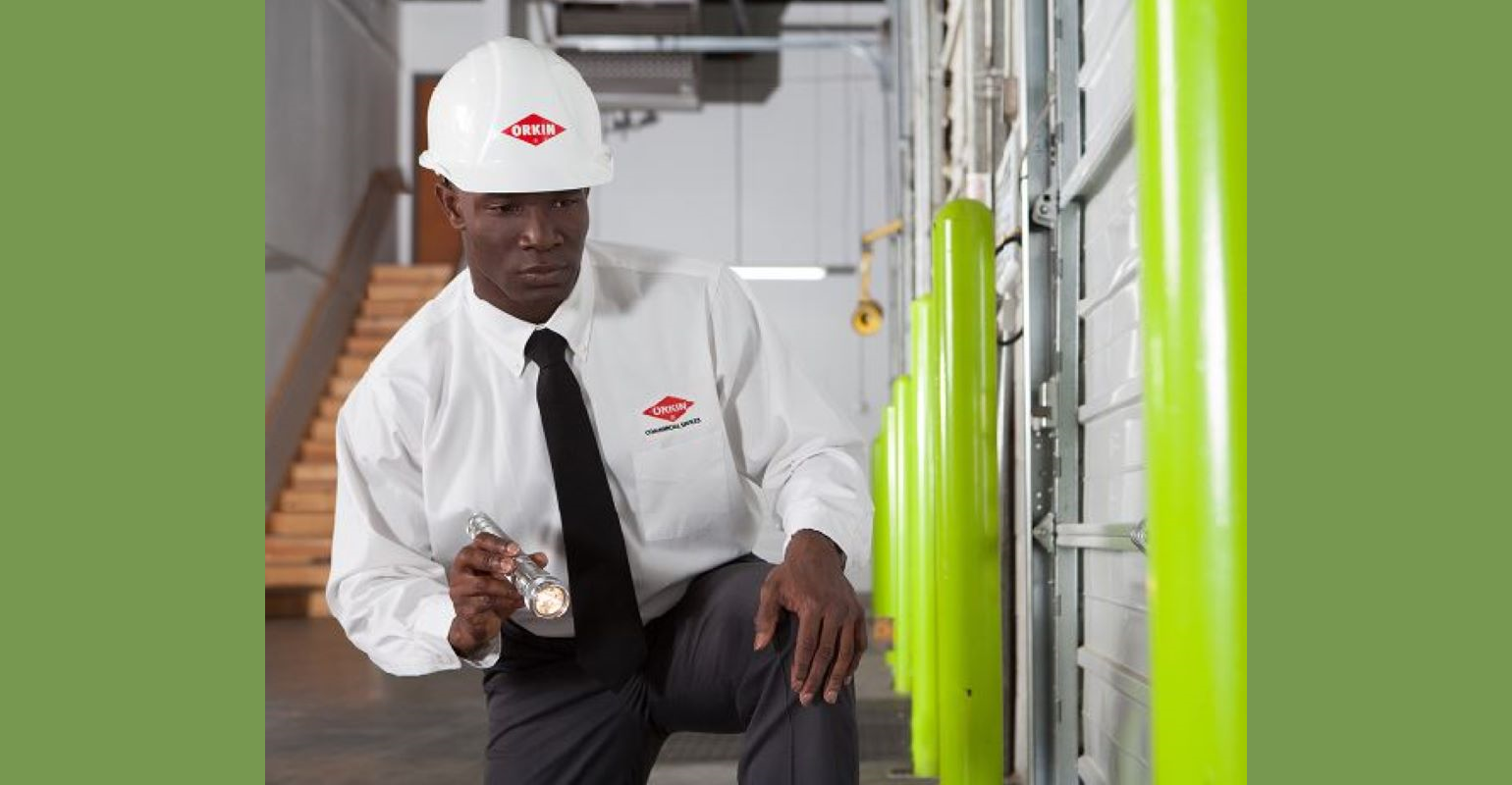 The Commercial Pest Control Guidebook | Buildings