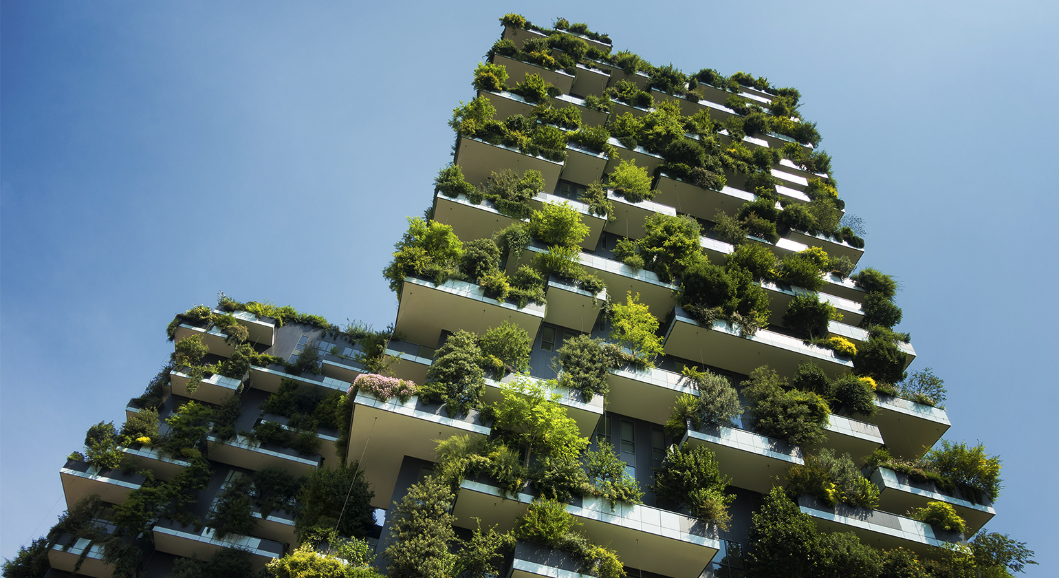 Getting to Net Zero: Carbon Solutions for Today’s Climate Challenges ...